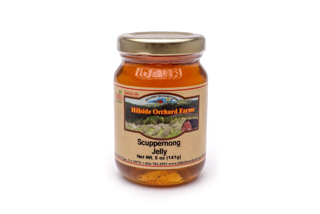 Scuppernong Jelly - 5 oz - Hillside Orchard Farms